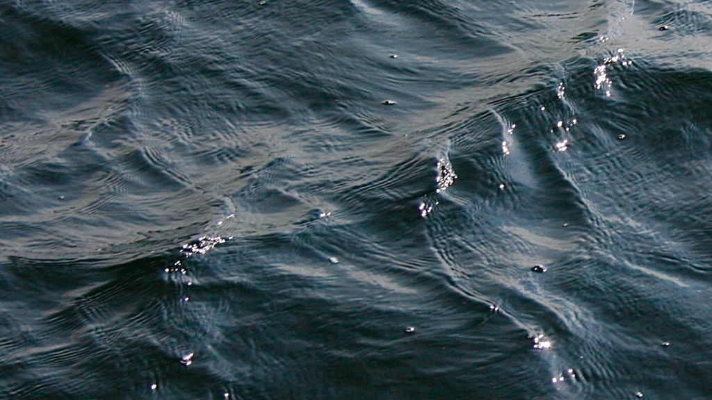 SmartWater AI: Harnessing AI for Climate-Resilient Water Management ...